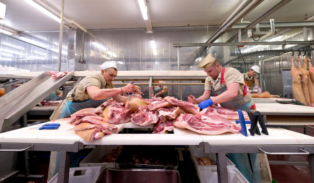 How to Improve Meat Processing with Stainless Steel Food Prep Equipment