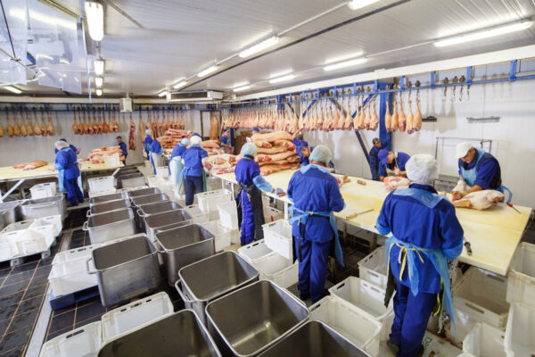 How to Improve Meat Processing with Stainless Steel Food Prep Equipment